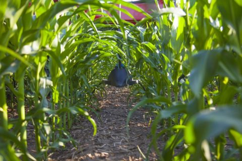 360 Yield Center - Soil Service, Inc