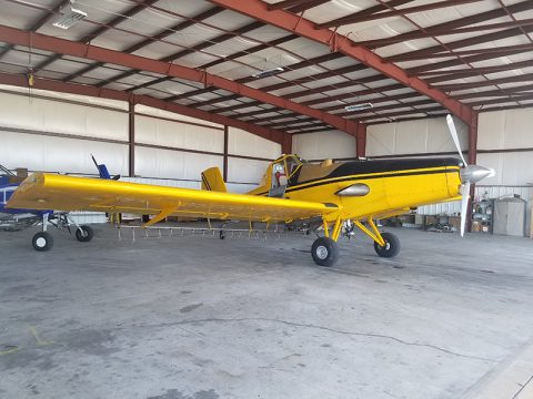 Fallow Corn Syndrome: Causes and Prevention - Soil Service, Inc